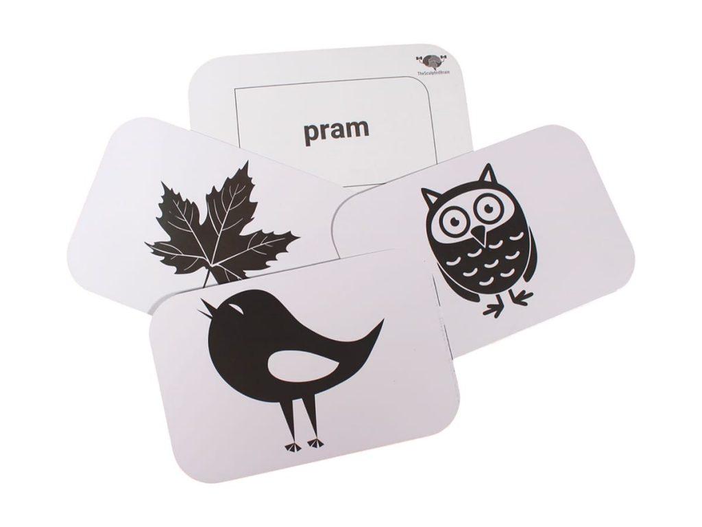 Black & White Flashcards – The Sculpted Brain