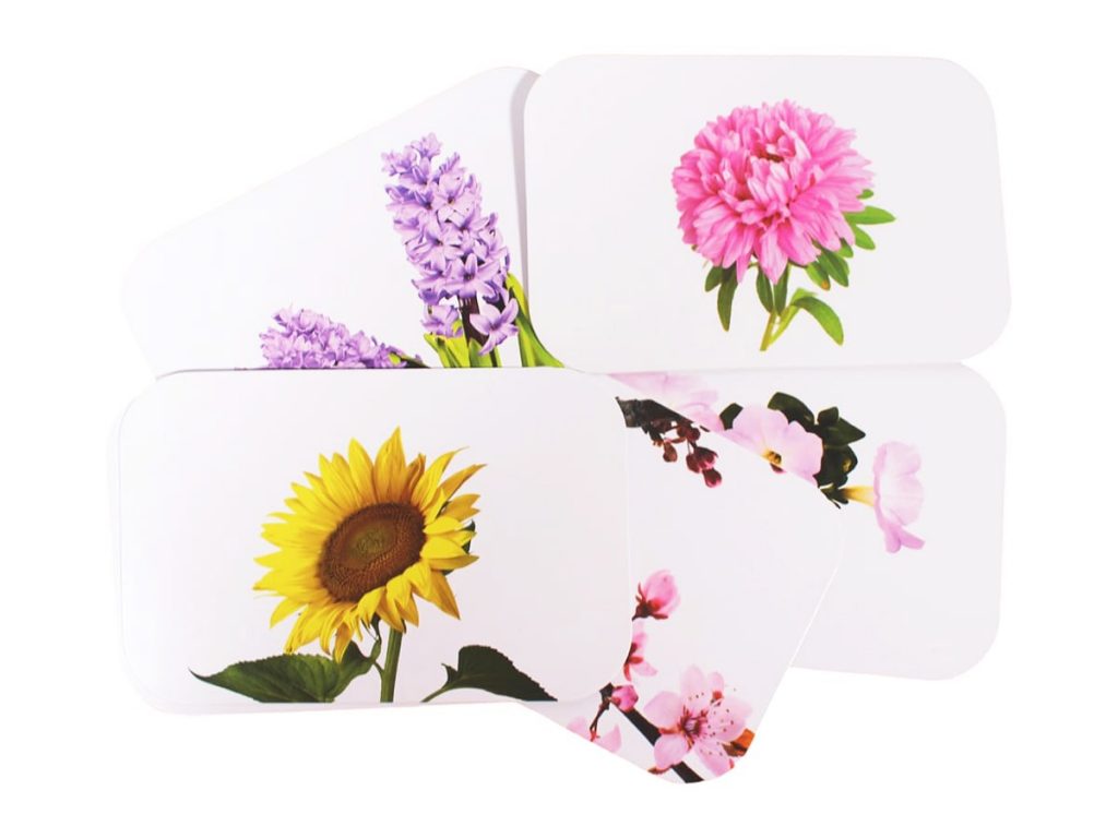 Flowers Flashcards – The Sculpted Brain