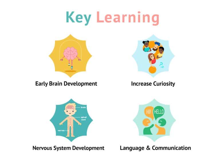 Object Permanence Box With Drawer – The Sculpted Brain