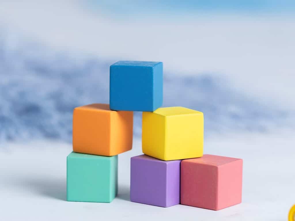 First Blocks – The Sculpted Brain