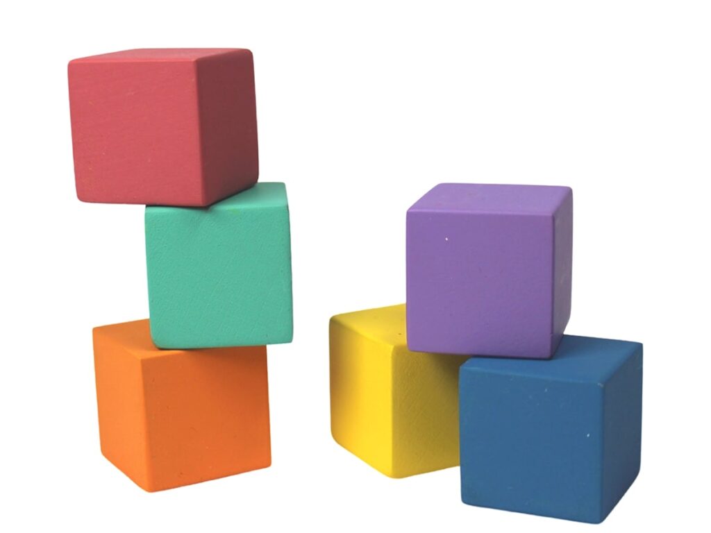 First Blocks – The Sculpted Brain