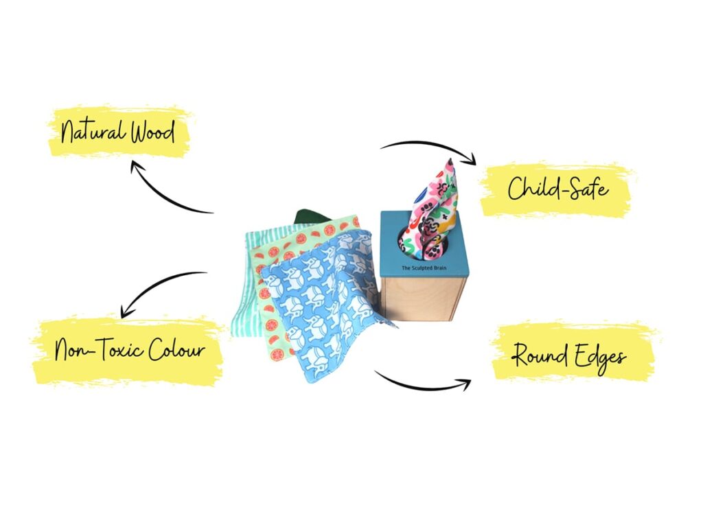 Magic Box – The Sculpted Brain