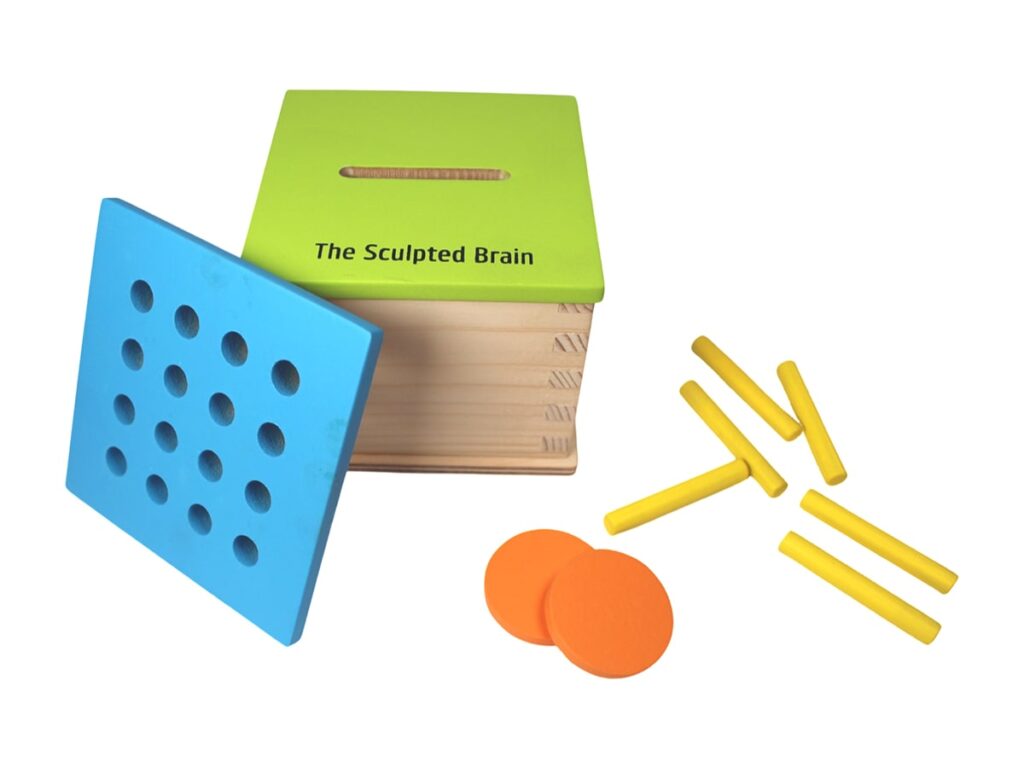 Peg And Coin Box – The Sculpted Brain