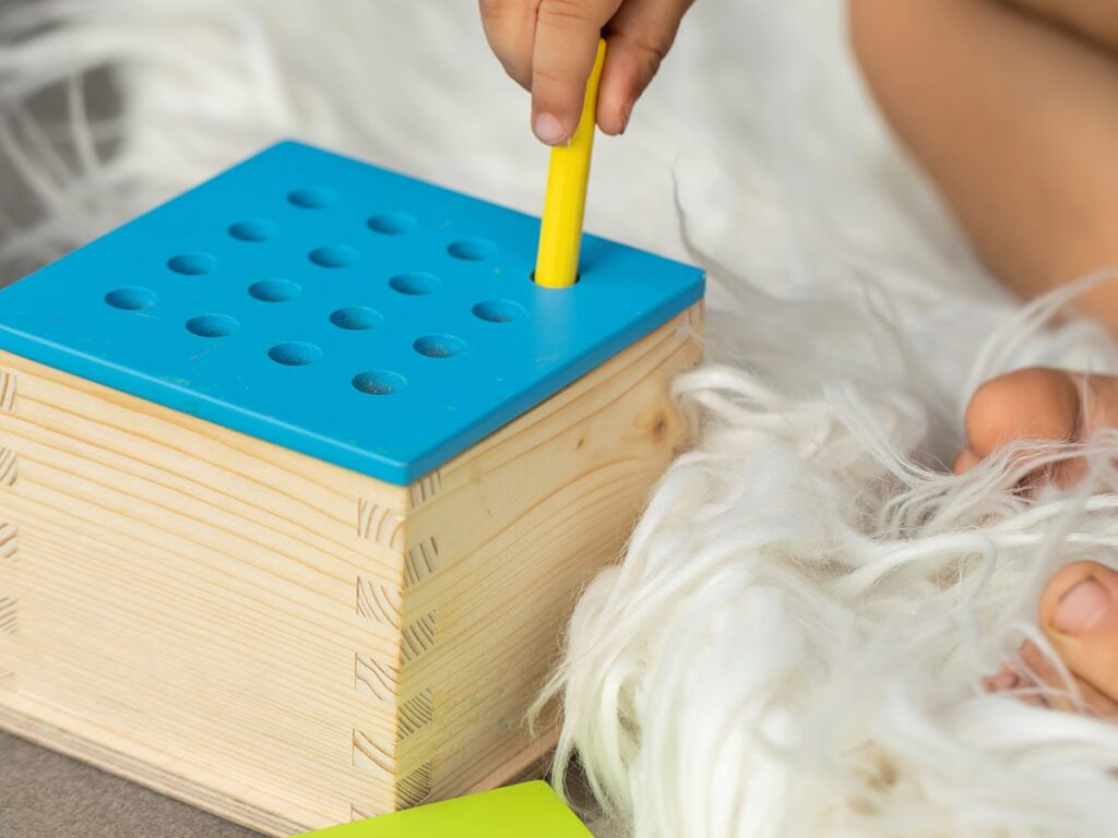 Peg And Coin Box – The Sculpted Brain